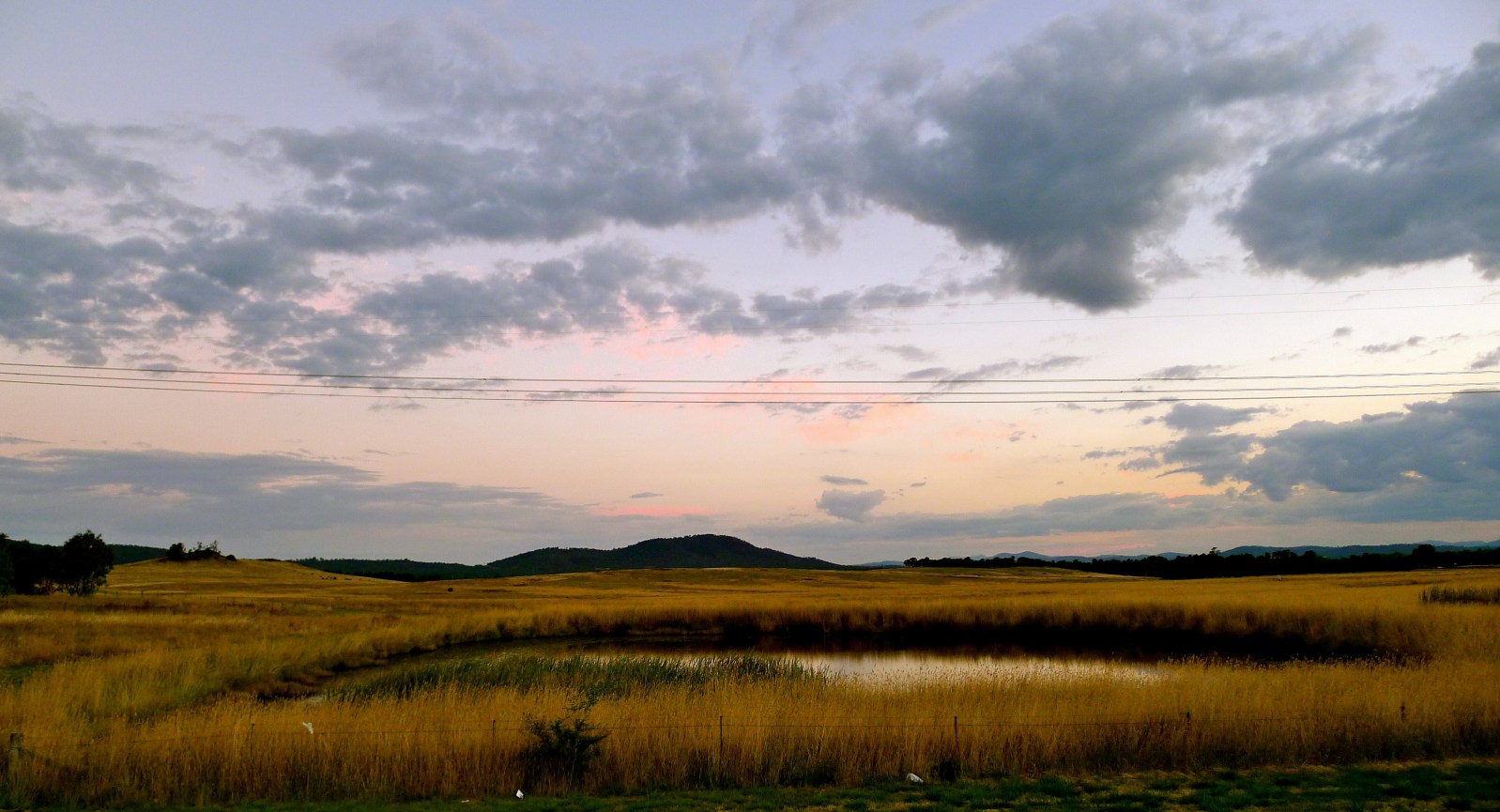 We go where we don’t know the way. | Snapshots and Needle Drops